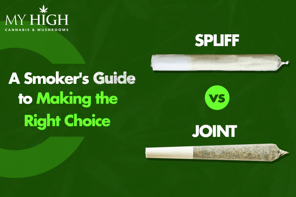 What’s the Difference Between a Joint and a Spliff? - GetMyHigh